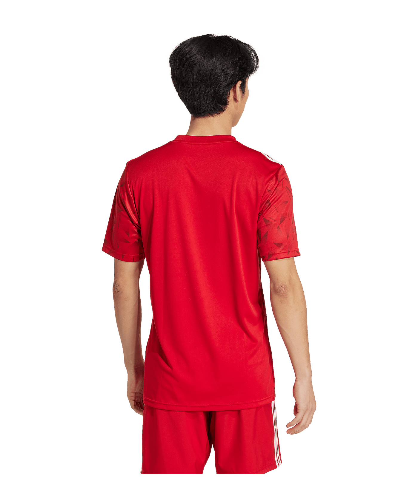 adidas Team Icon 25 Trikot Rot | L | 10327753.214